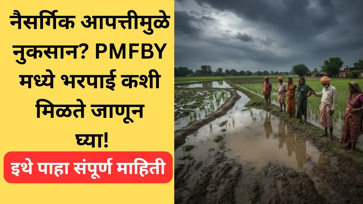 नैसर्गिक आपत्तीमुळे नुकसान? PMFBY मध्ये भरपाई कशी मिळते जाणून घ्या ...